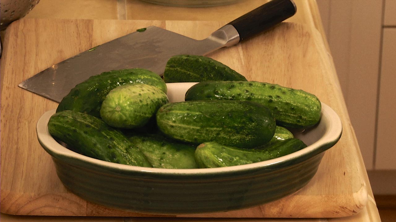 Preserving an Essential Piece of the Local Food Web