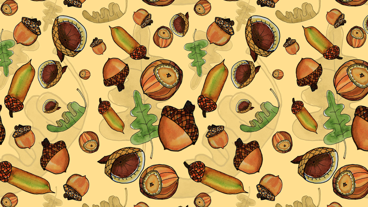 Fall Acorns Design Pattern For Products - Cooking Up a Story
