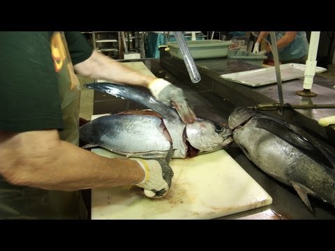 How to Fillet a Tuna